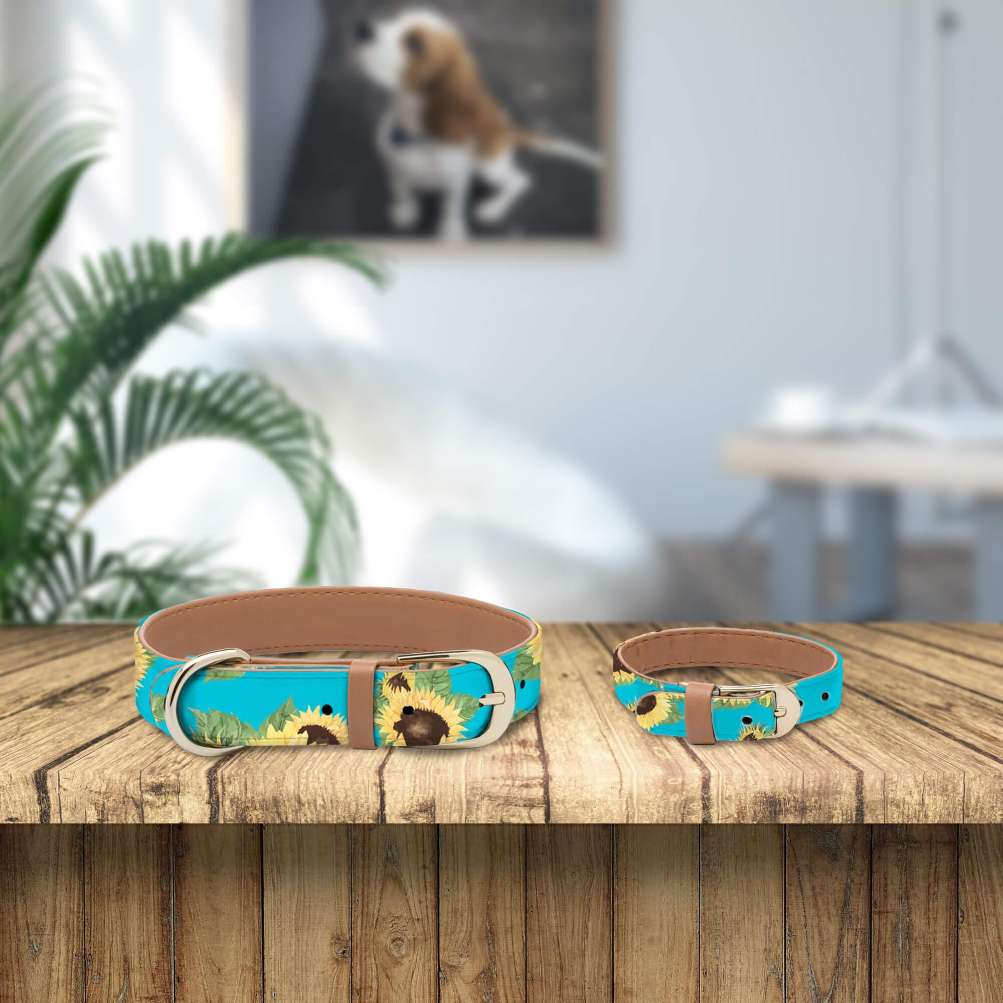 Collar & Bracelet Sets – Seasonal Paws